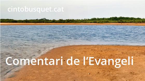 Àudio: Sant Mc 9,2-13 - Cinto Busquet