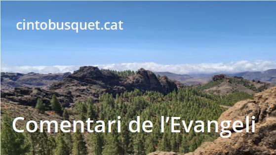 Àudio: Sant Mc 5,1-20 - Cinto Busquet