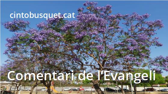 Àudio: Sant Mc 3,22-30 - Cinto Busquet