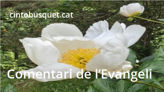 Àudio: Sant Mc 3,20-21 - Cinto Busquet