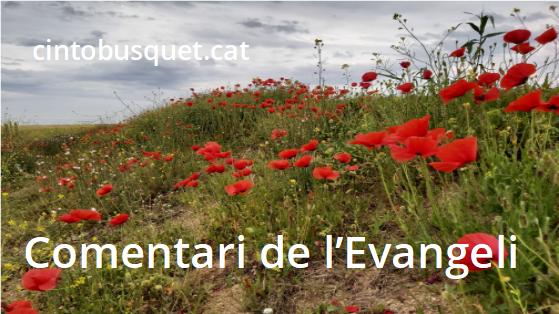 Àudio: Sant Mc 3,7-12 - Cinto Busquet