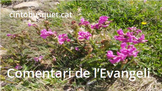 Àudio: Sant Mc 3,1-6 - Cinto Busquet