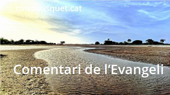 Àudio: Sant Mc 10,1-12 - Cinto Busquet